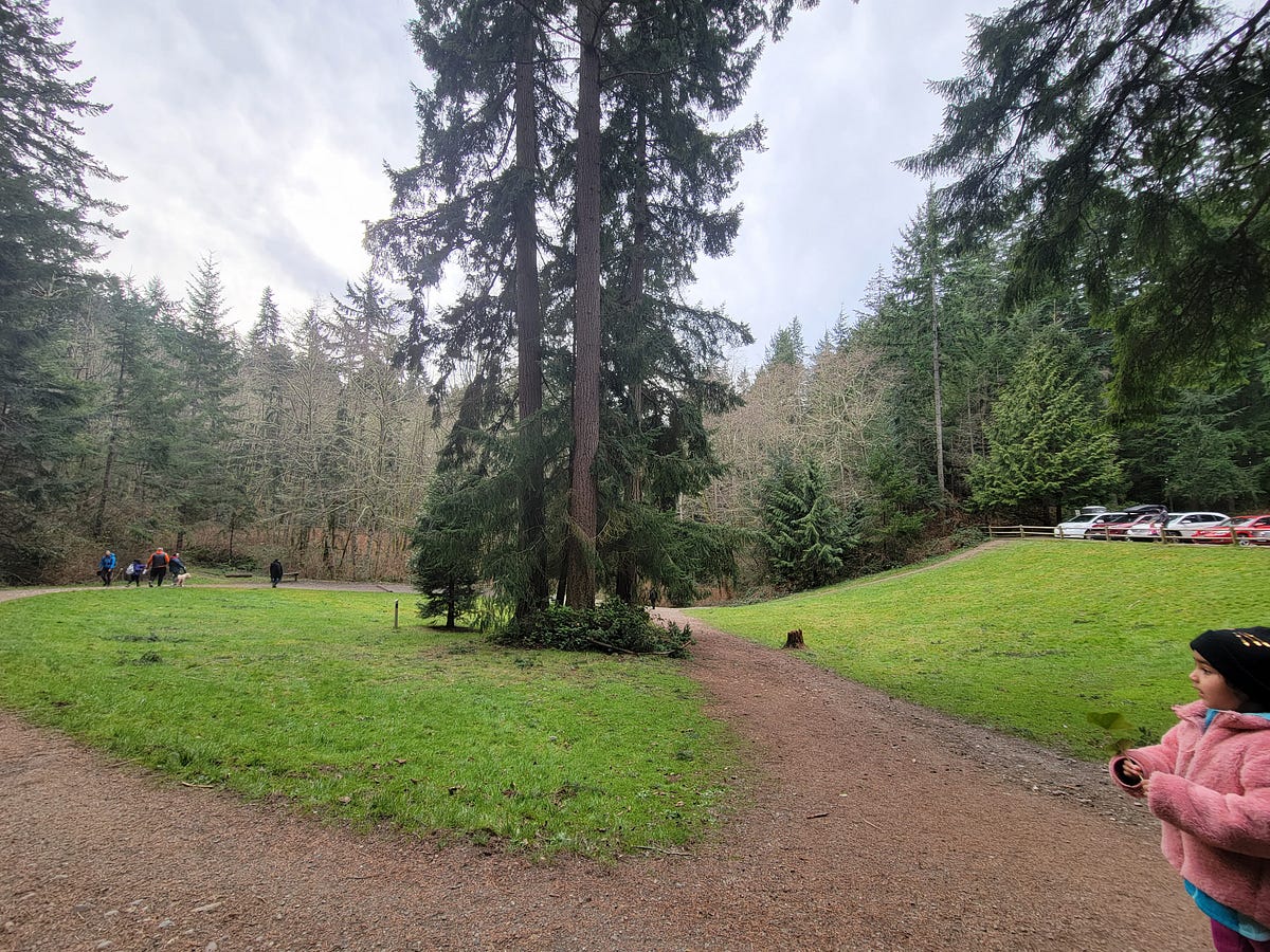 Meadowdale beach trail. I was searching for a kid friendly hike… | by Chitra Kosuru | Medium