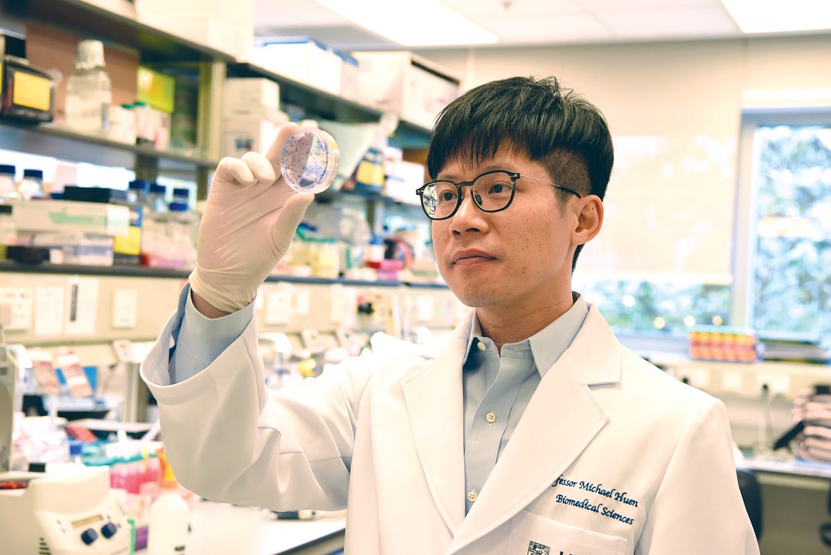 Professor Michael Huen Shing-yan - DNA Repair as a Pathway to Fighting ...