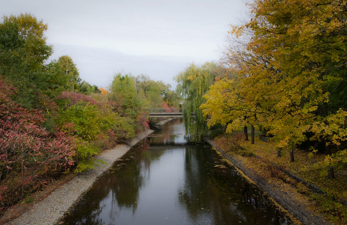 A Walk in Melancholy Colors. It is a cold autumn day, brightened… | by ...