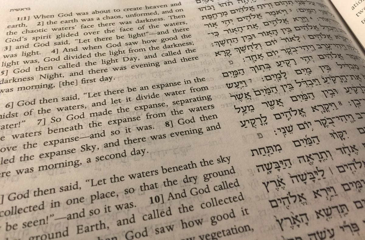 Creator God: One who names and gives life | by Angela Nevitt Meyer ...