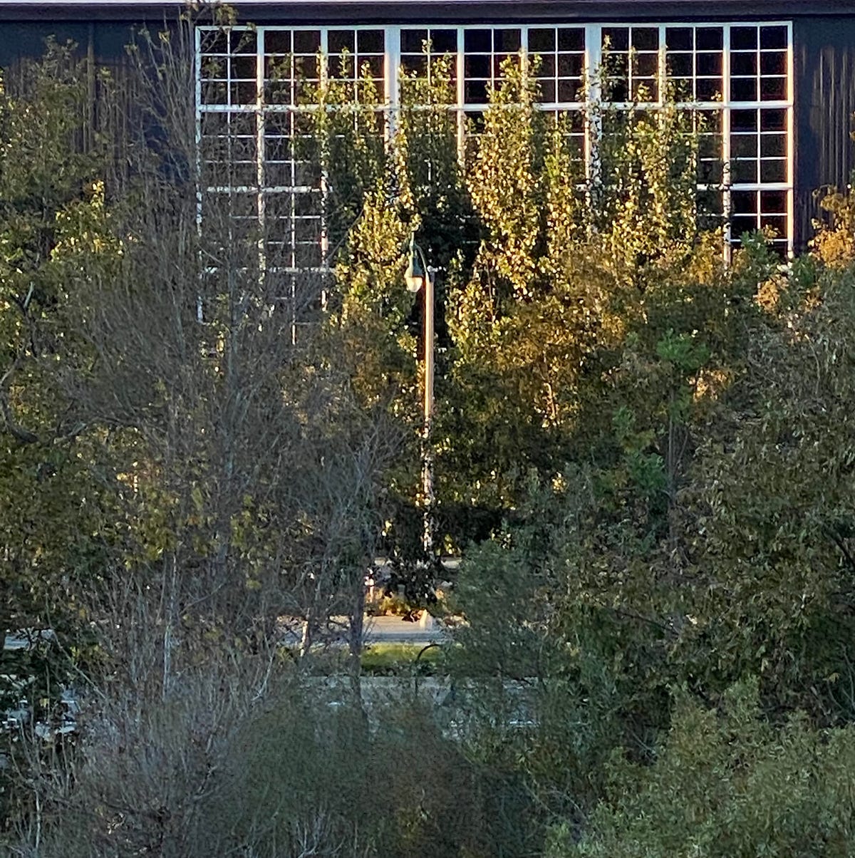 Dusk At Dreamworks - Richard Palmquist, DVM GDVCHM CCHVM - Medium