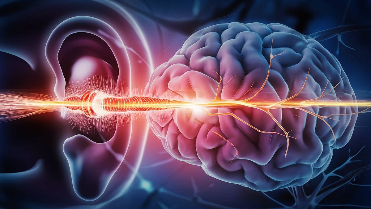 Unlocking the Secret to Better Hearing: It’s All in Your Brain | by ...