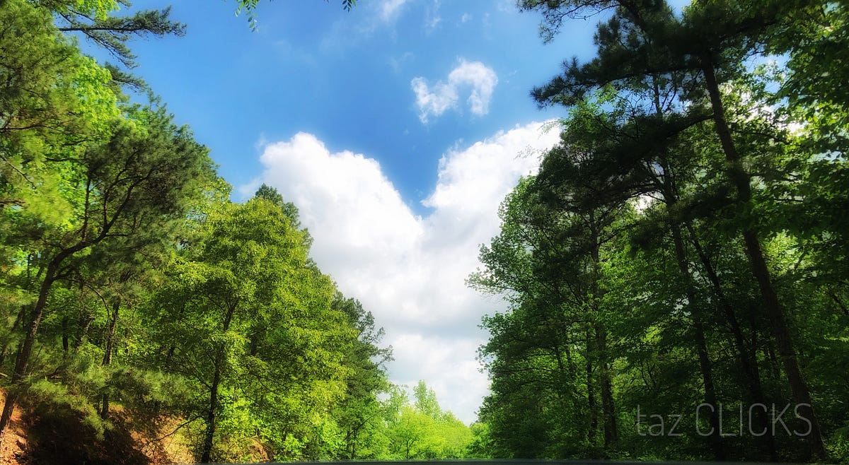 Heart. When we are not together, your heart… | by Tasnim Zaki | Medium