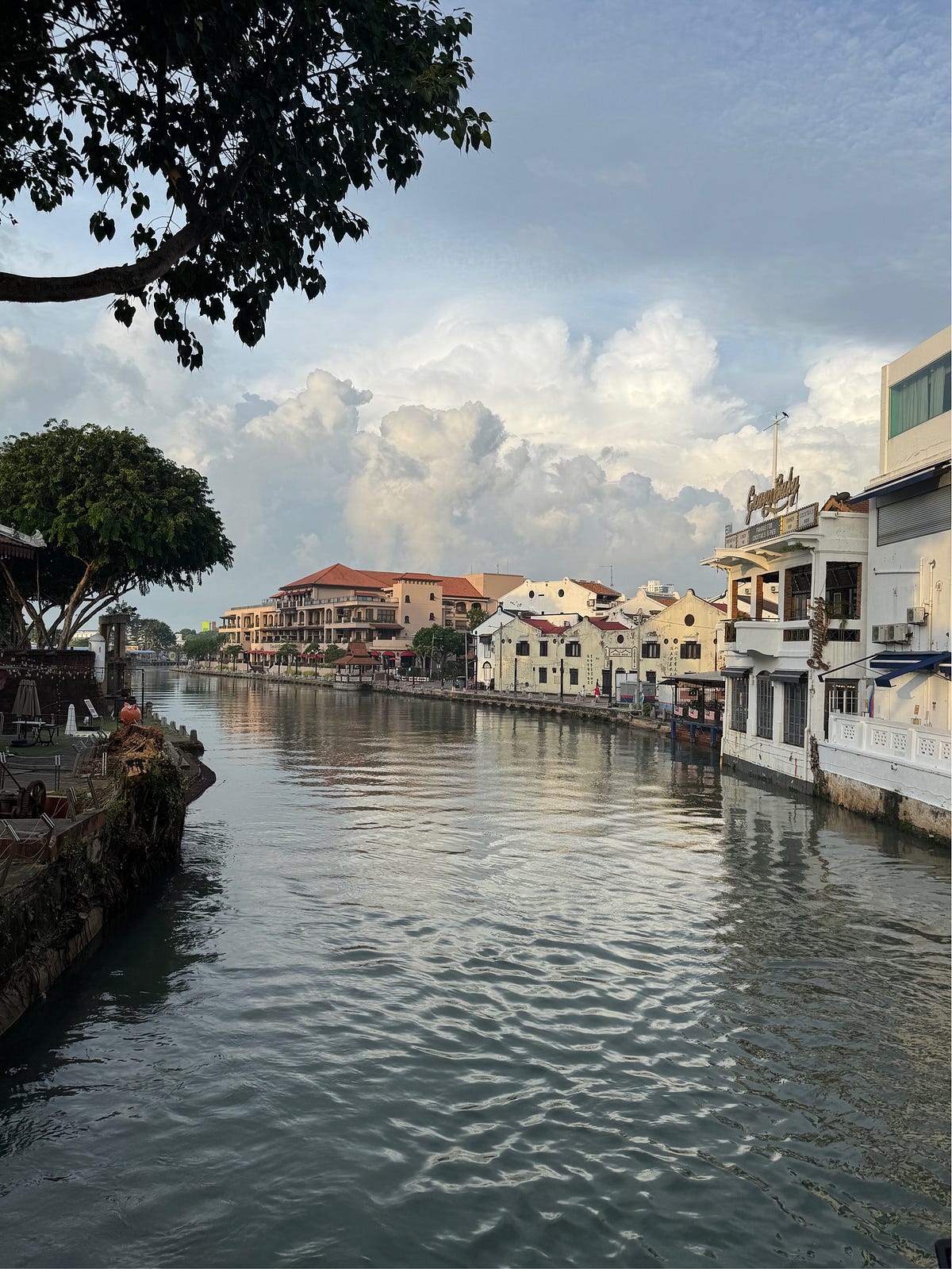 The Unexplainable Magnetism. The Grace of Brief Encounters | by Raj Manickam | Dec, 2024 | Medium