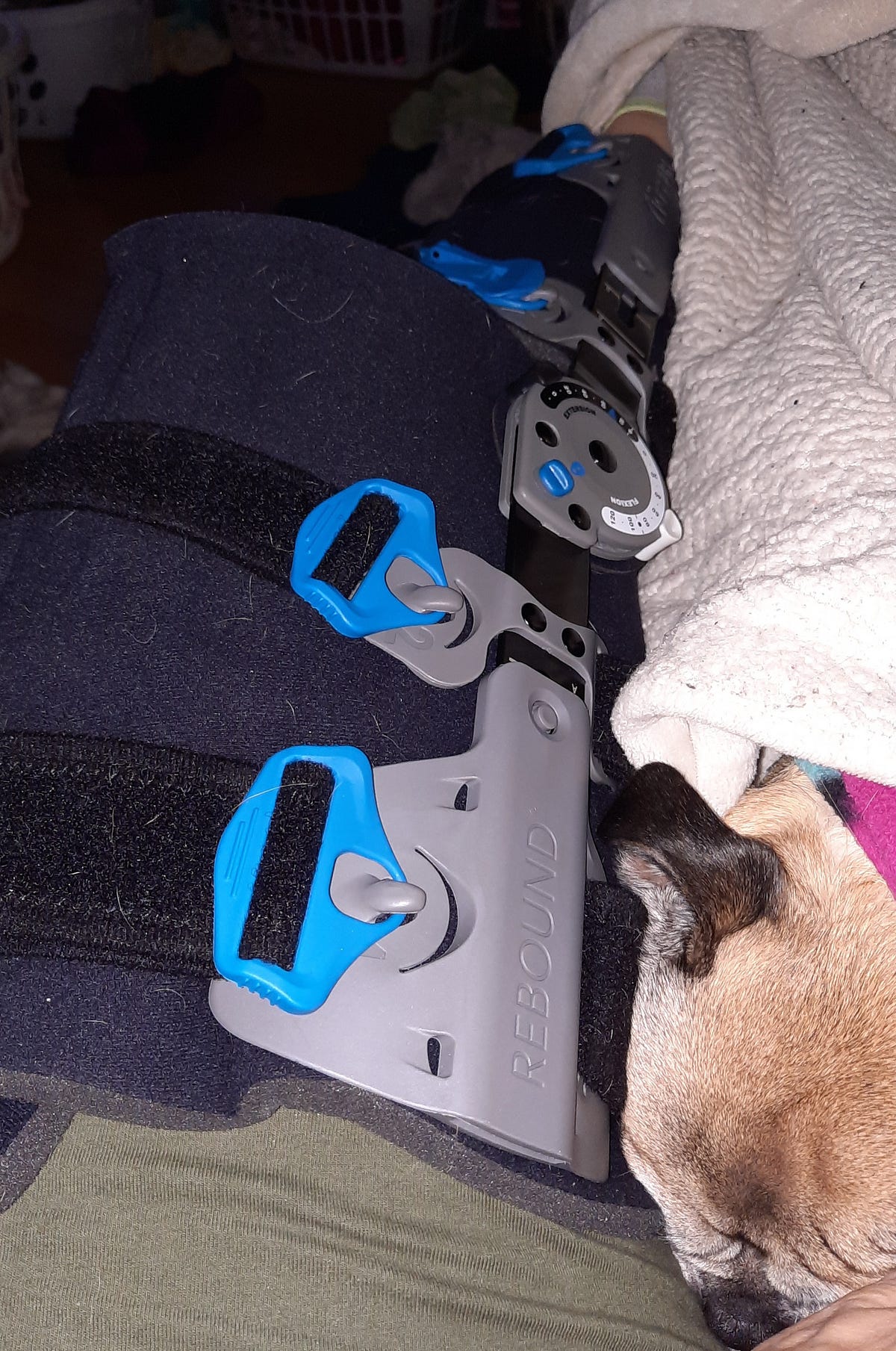 Knee Injury. As I sit here to write this, I am… | by Pam Betts | Medium