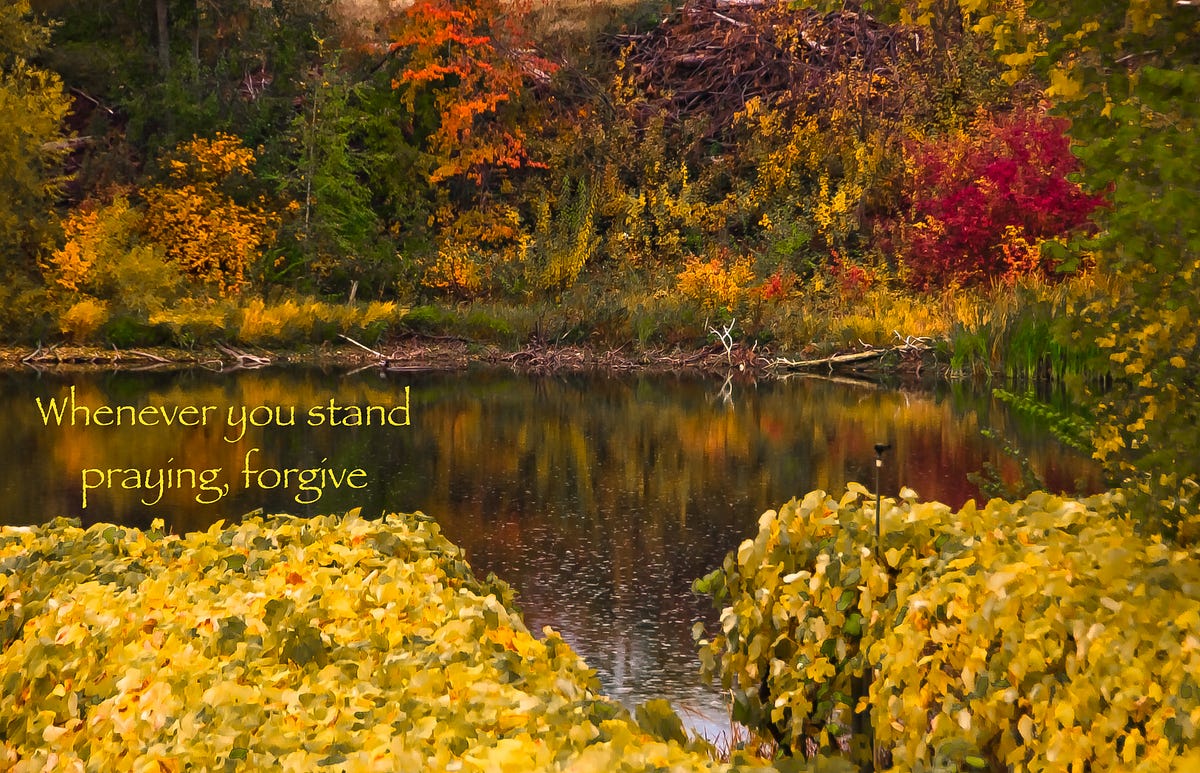 Forgiveness is Not Optional. “And whenever you stand praying… | by Reid ...