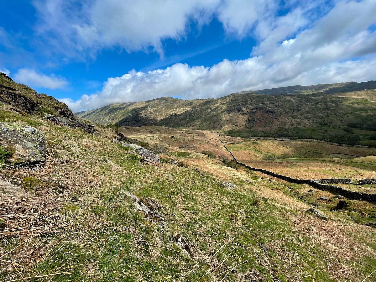 The Hidden Ecology of Dry-Stone Walls | by Richard Villar | Medium