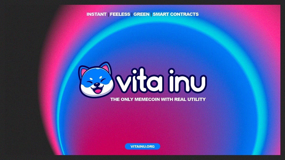 Comparing the Traditional Financial System with $VINU: A Feeless Crypto ...
