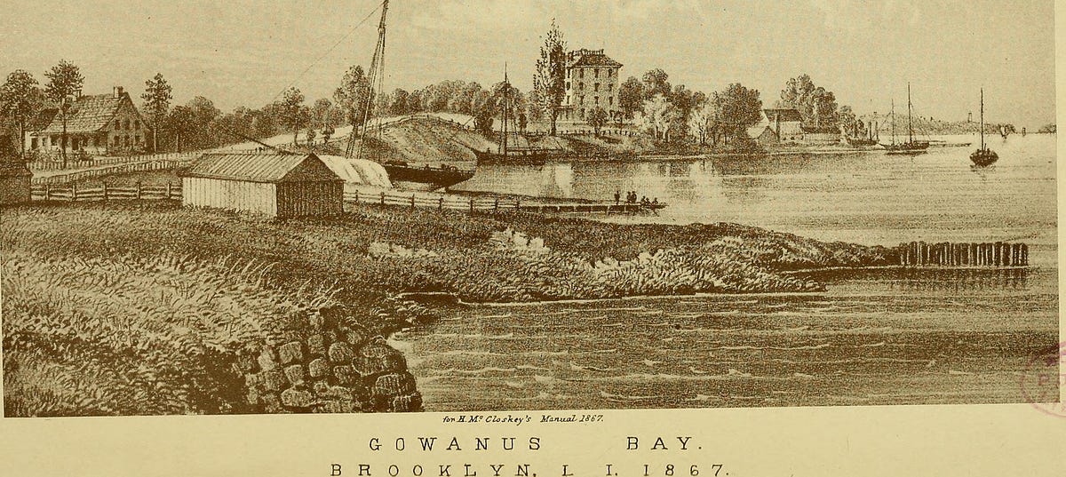 HISTORY AND ECOLOGY ON THE GOWANUS CANAL | Read or Die!