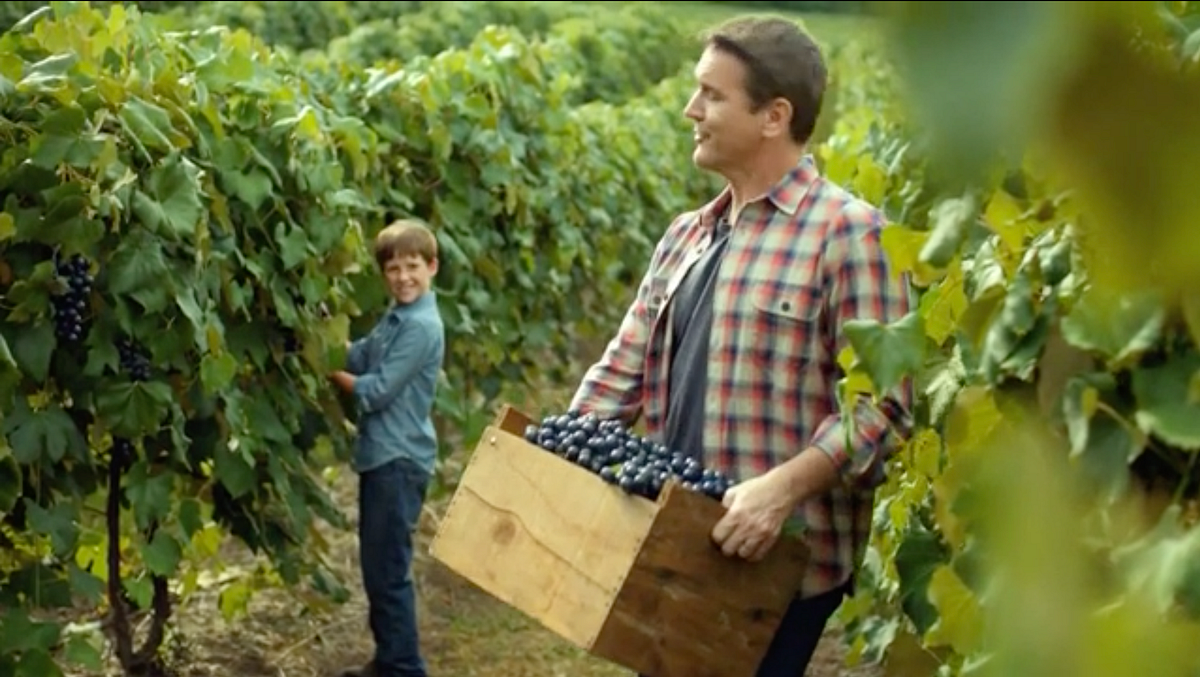After 50 Years, Welch’s Shifts Target Market | by Audrey Loi | Medium