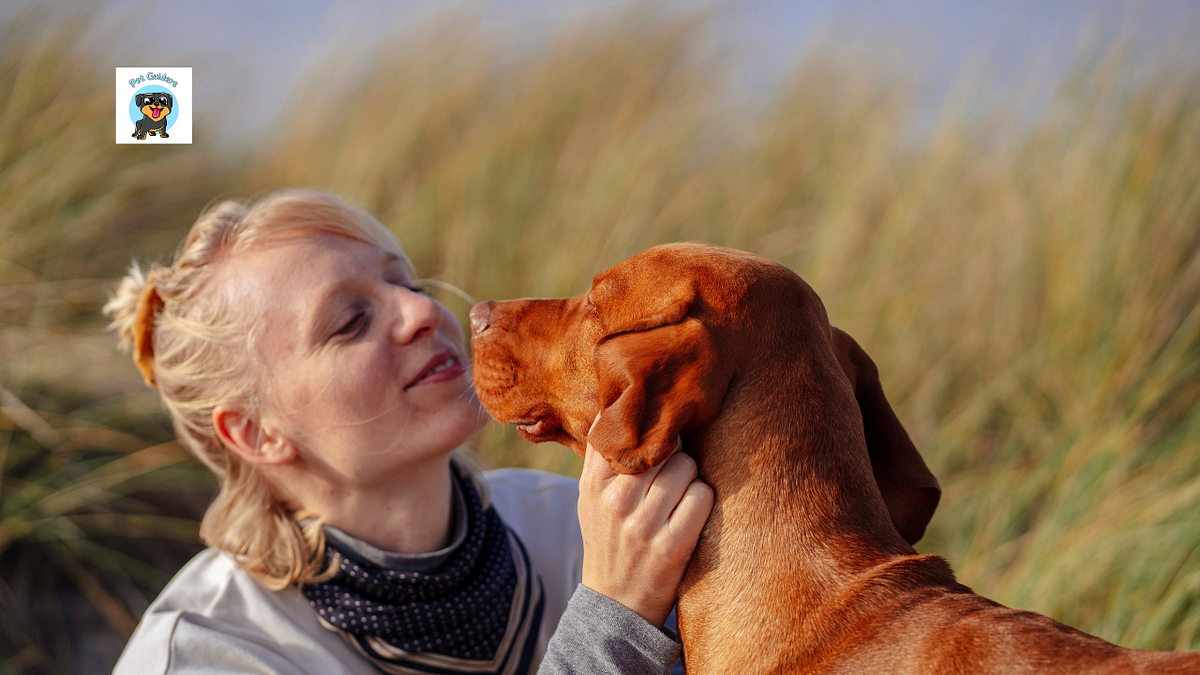 What Are Some Ways That People and Their Dogs Strengthen Their Bond ...