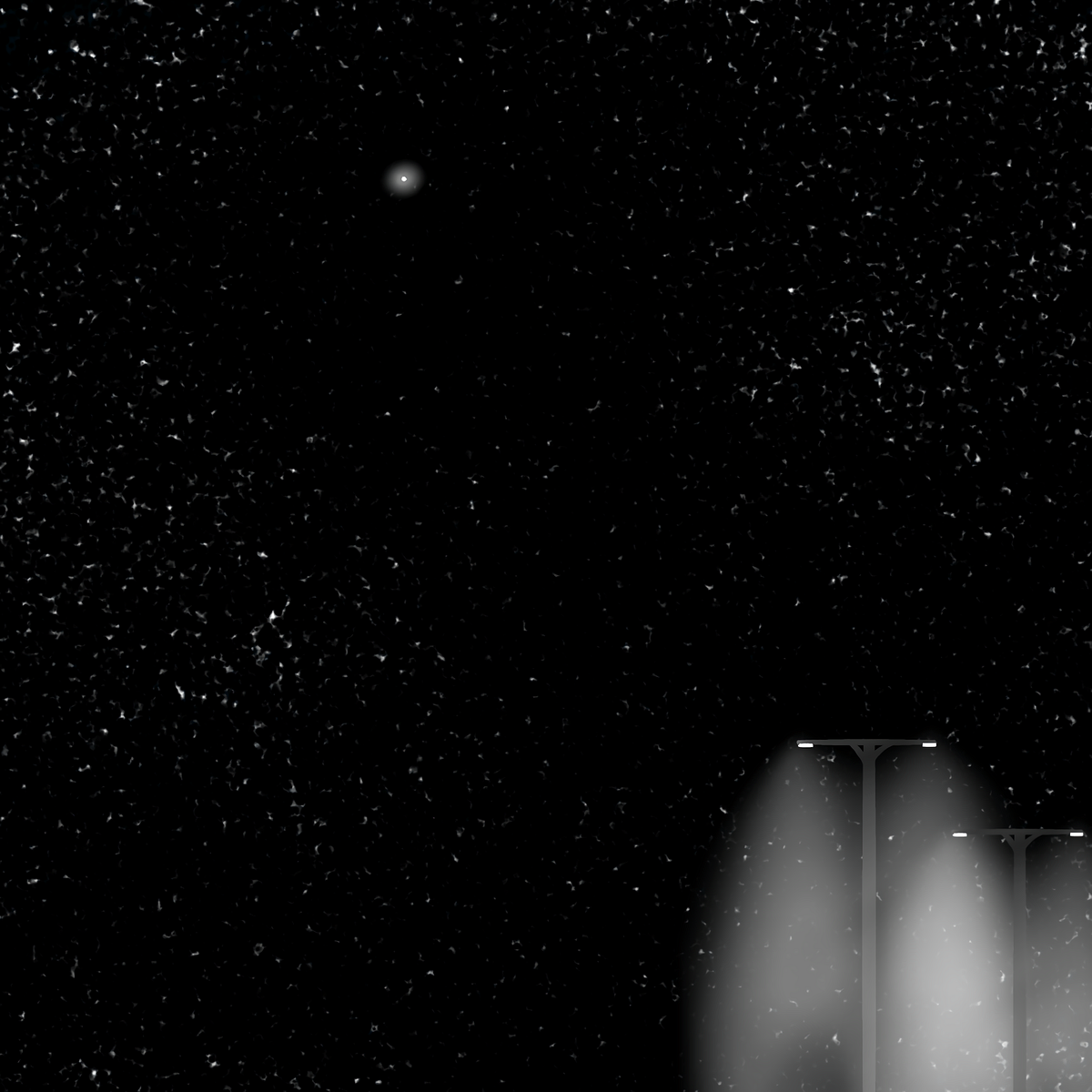 Pole star - Vashu dev Krishna - Medium