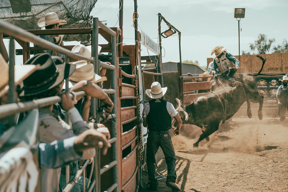 Open the Gate into America’s Backyard Bull Riding | by Zane Foley | Medium