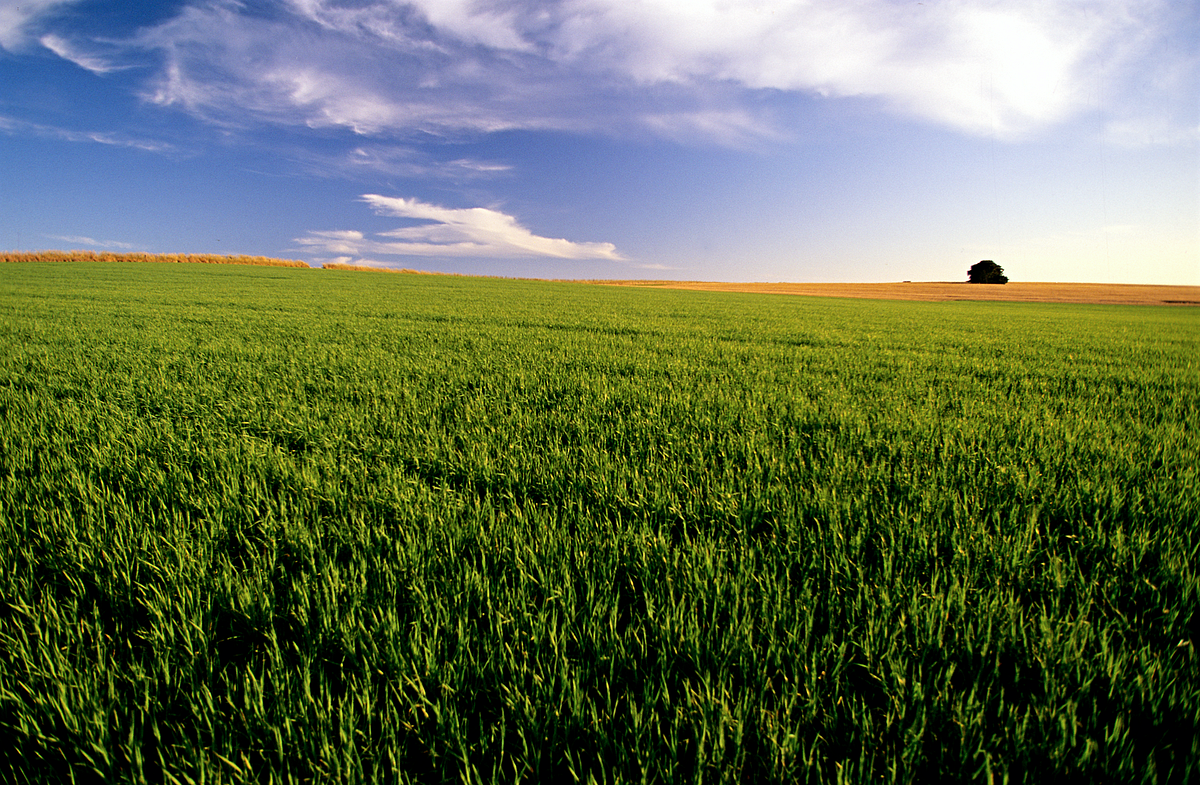 Teaching the people how to be Greedy, can create a better Economy. | by ...