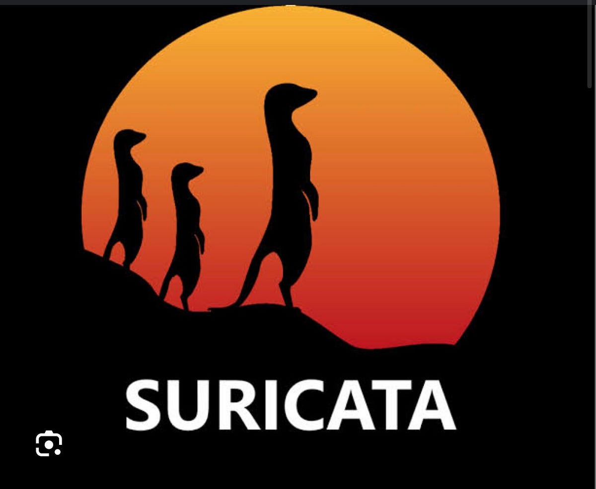 “Detecting Malicious Traffic with Suricata: A Hands-on Guide | by ...