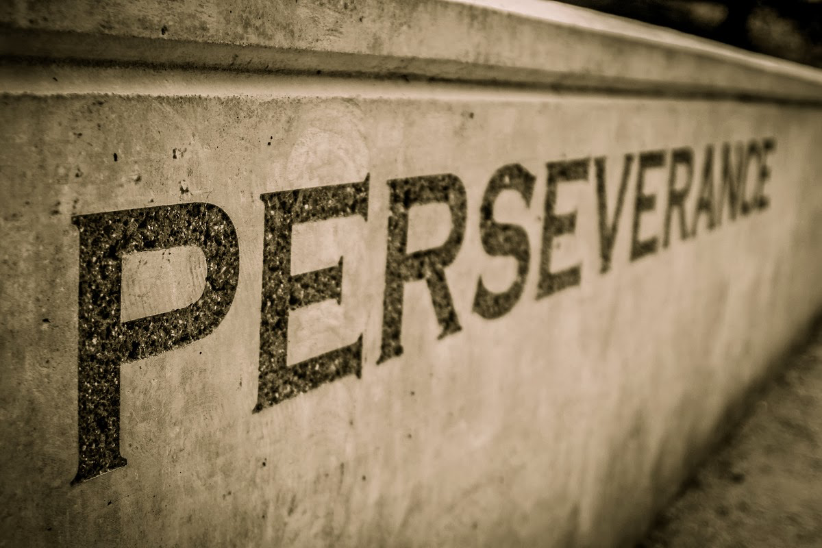 18. Perseverance: The Intersection of Aptitude & Attitude | by Brett ...