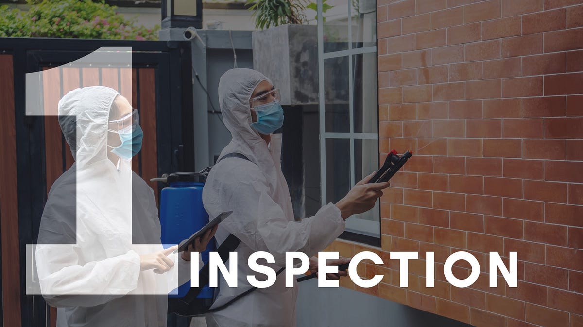 Professional Pest Control Coleraine, Downpatrick, and Newry | by Ni ...
