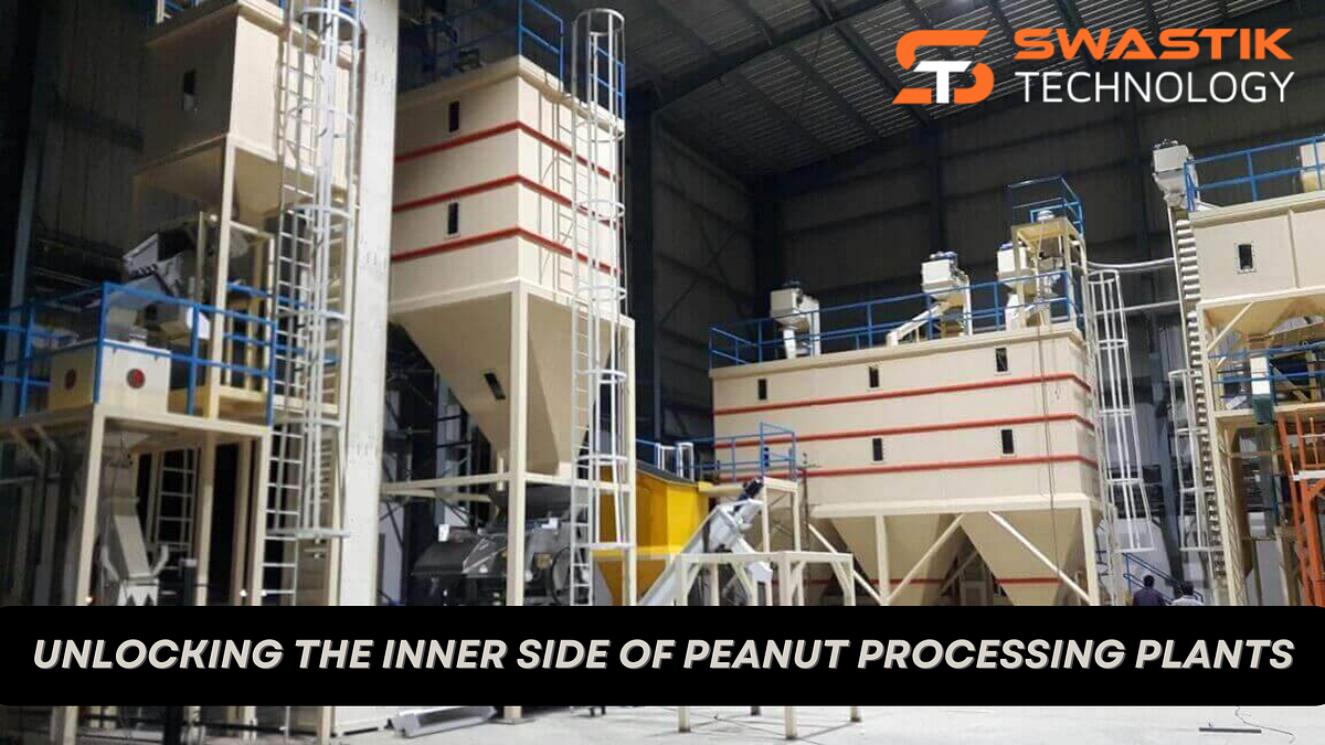 Unlocking the Inner Side of Peanut Processing Plants | by Swastik Technology | Medium