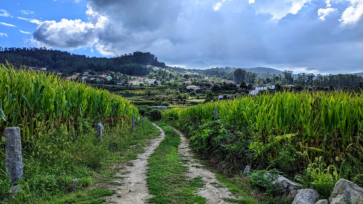 Prelude to the Camino. I first learned of the Camino de… | by Daniel ...