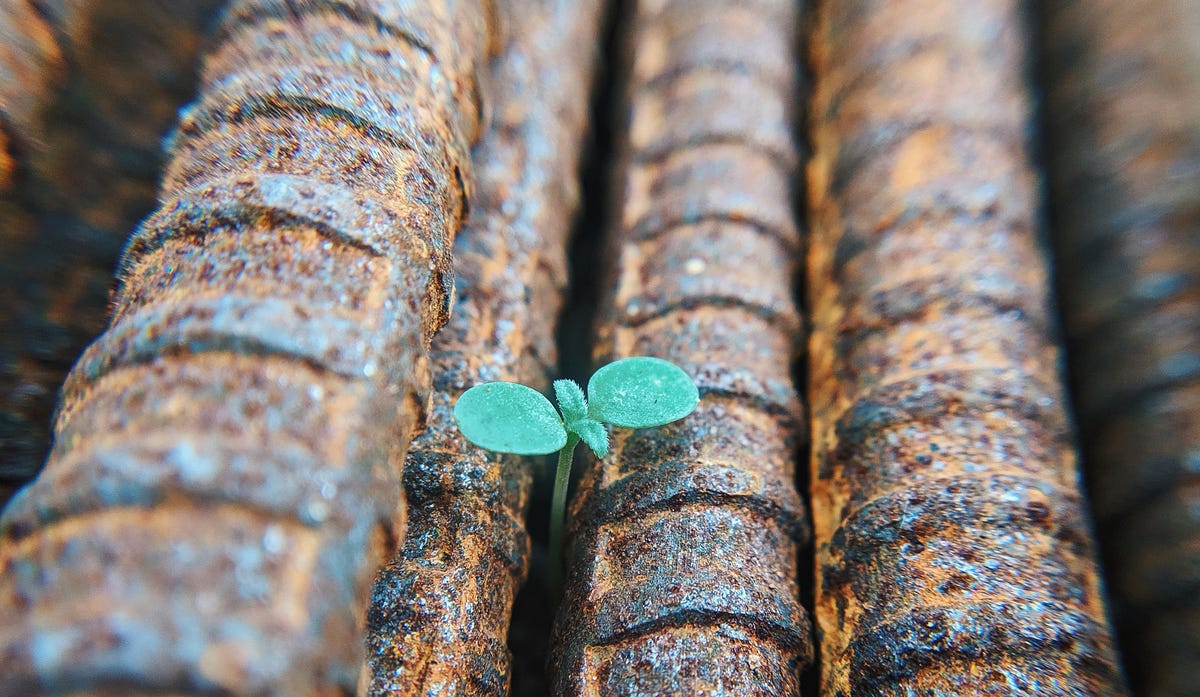 How to live a meaningful life when the world around you is falling apart | by Steve Genco | Medium