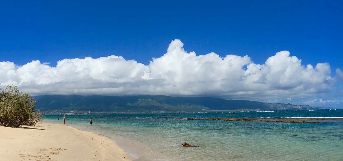 Hello, Medium world! | by Elan Feingold | Medium