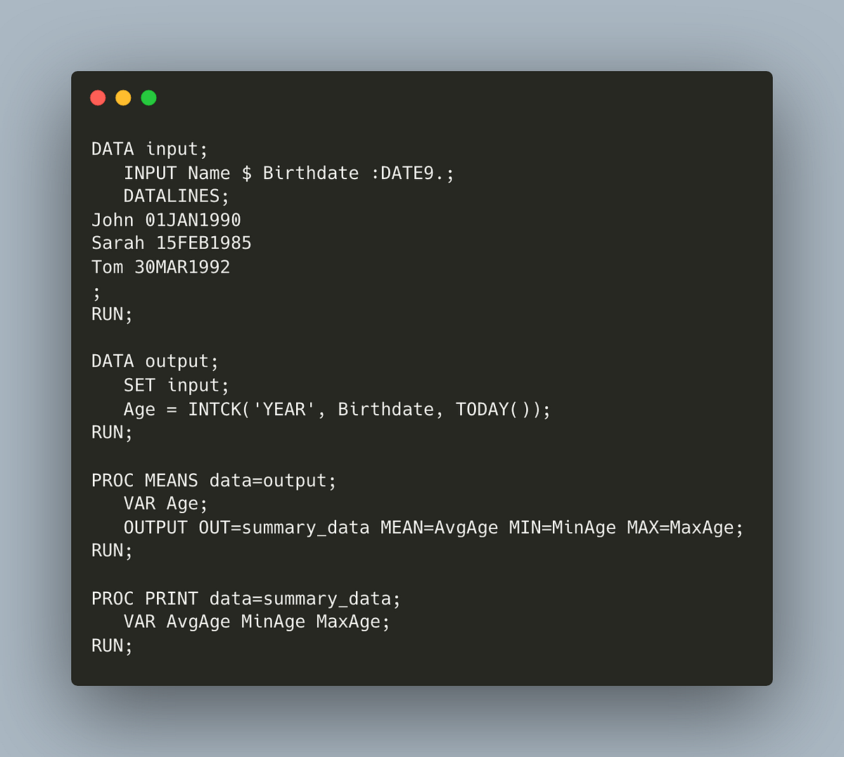 Examining SAS: Shedding Light on the Programming Language’s Limitations ...