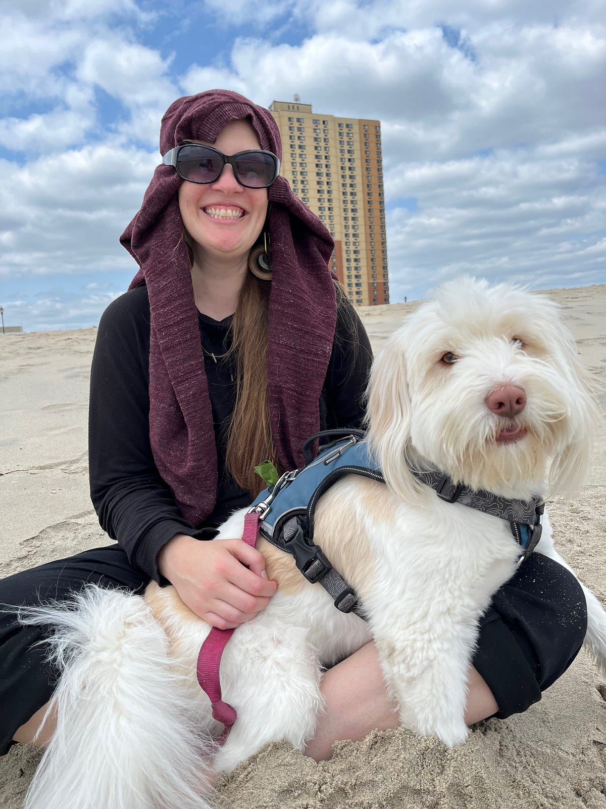 Are Some People Just Blessed With Well Behaving Dogs? | by Jackie ...