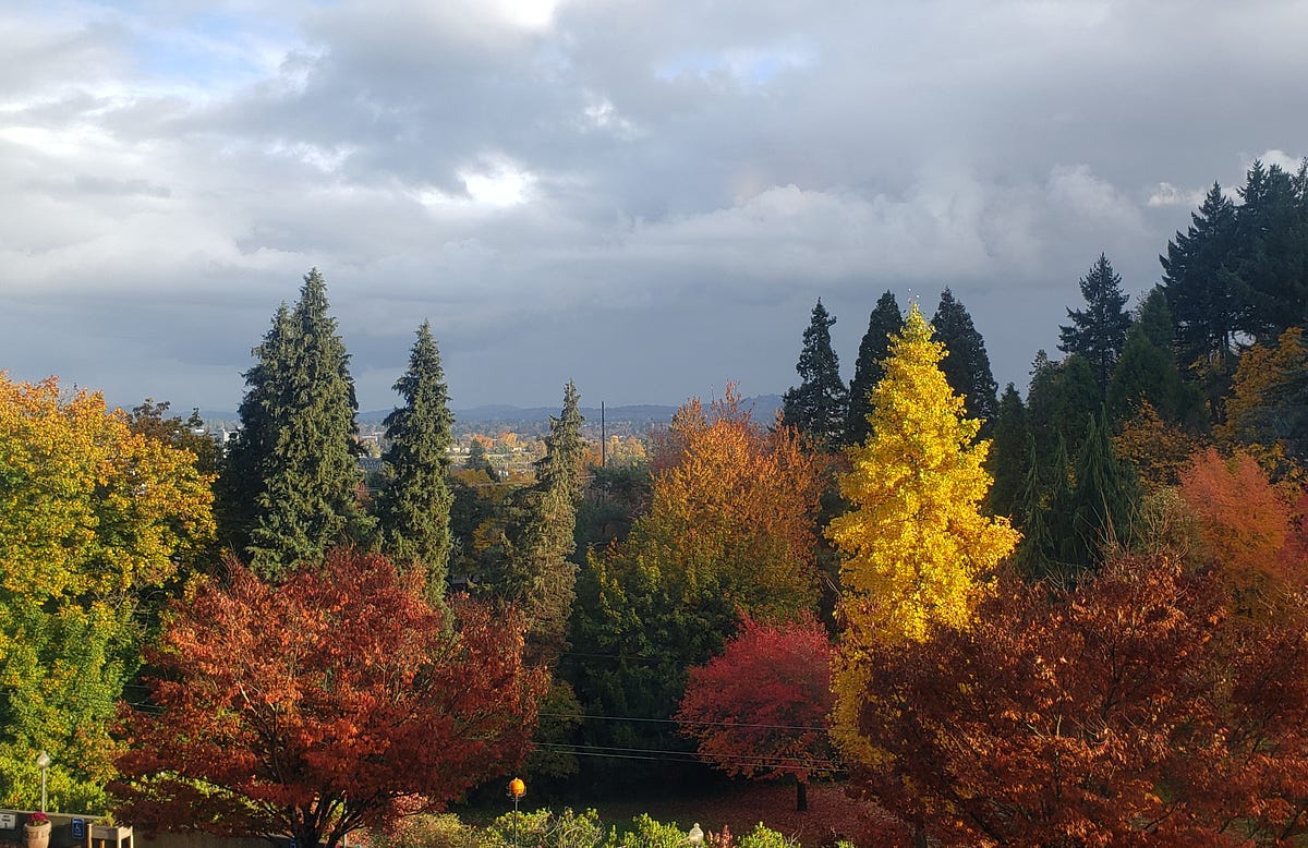 Harvest Gratitude — All Year Long | by Janice Reynolds | Nov, 2025 | Medium