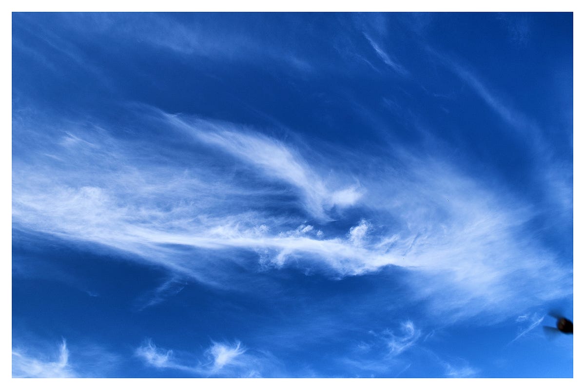 Flying Fly Contemporary Art Clouds Viewing the Viewer - Robert Ireland ...