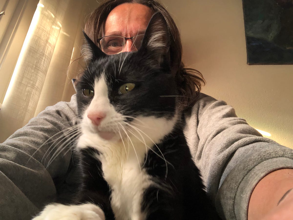Writing with focus until publishing | Catness