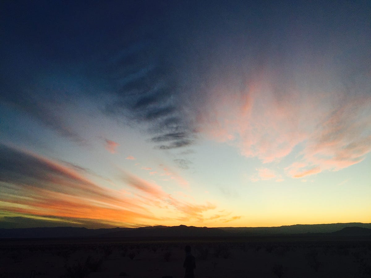 Going Mental. My mind over extends itself. | by Christopher Erwin | Medium