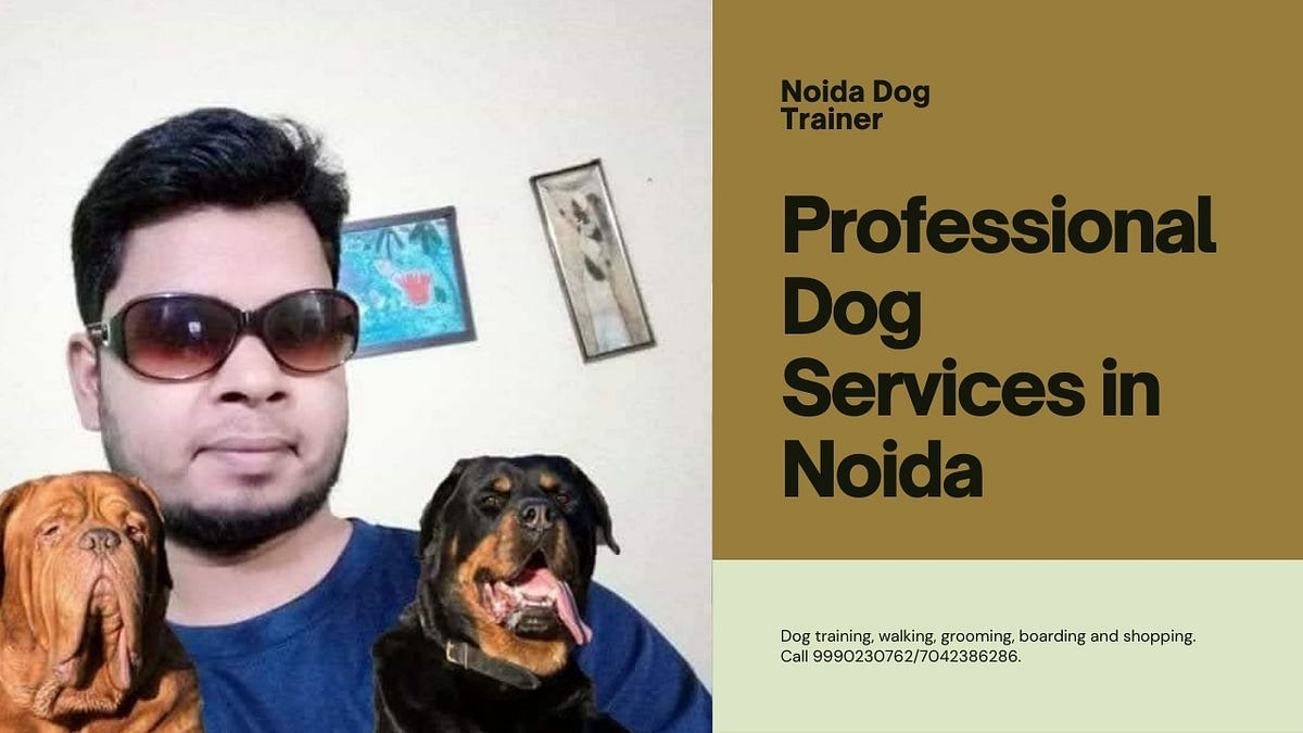 Noida Dog Trainer Pet Boarding Pet Shop 🐾🐾☎️🙏9990230762,7042386286 ...