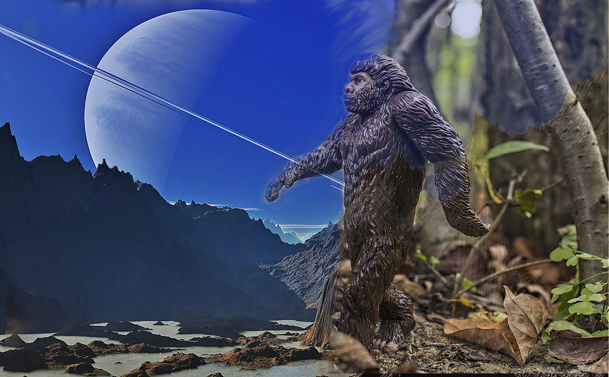 What is Dash Evolution?. When I learned about the upcoming Dash… | by ...