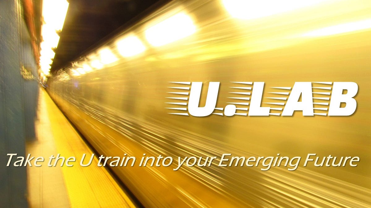 All on Board the U Train! The Theory U Journey Begins | Field of the ...