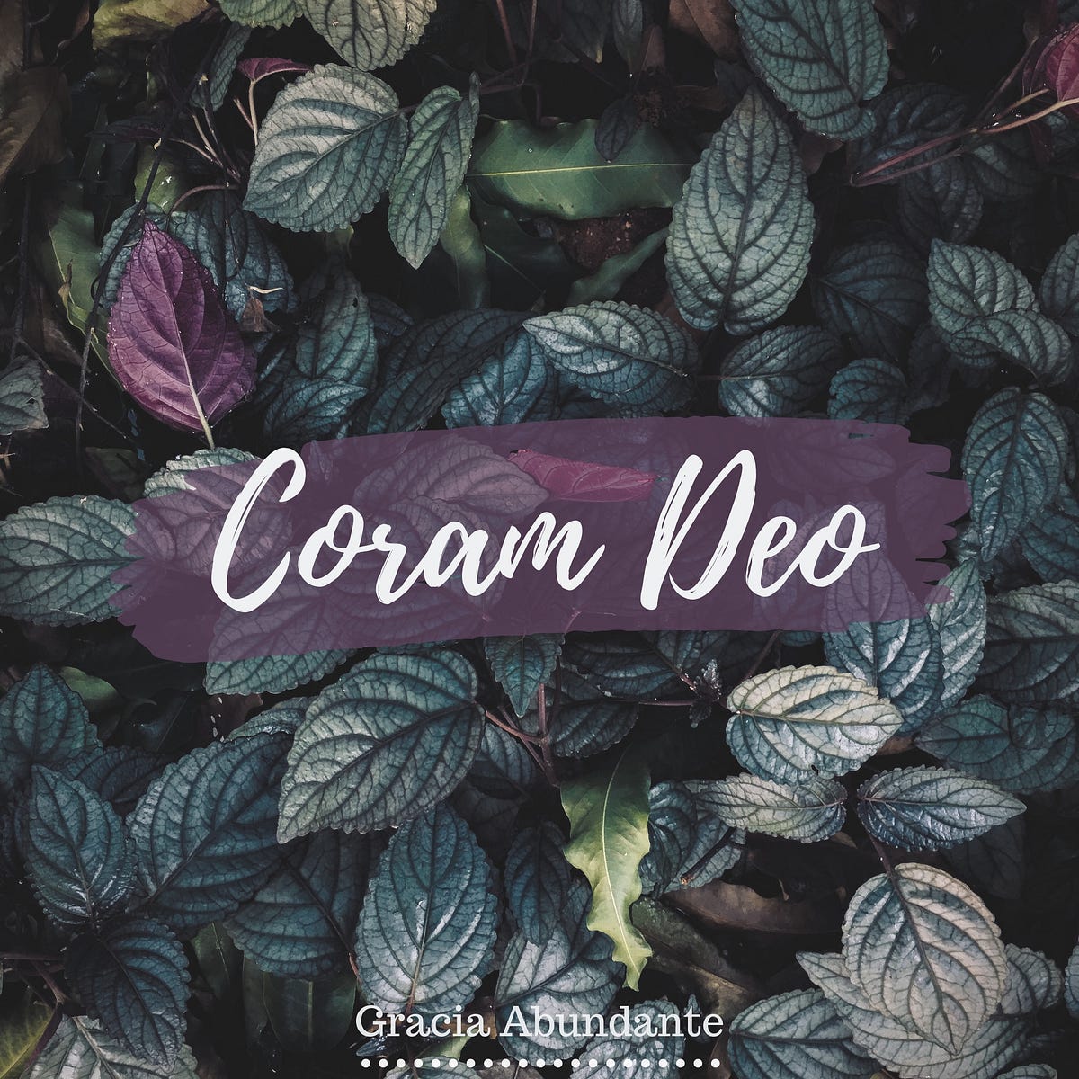 CORAM DEO. ¿Sabes lo que significa? Es vivir en la… | by Gracia ...