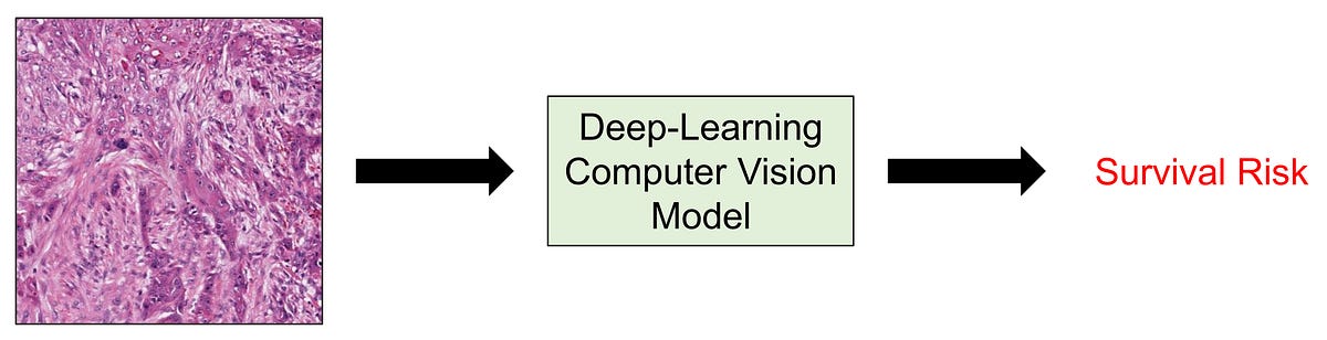 My Experience in Survival Prediction of Histopathology-based Computer ...