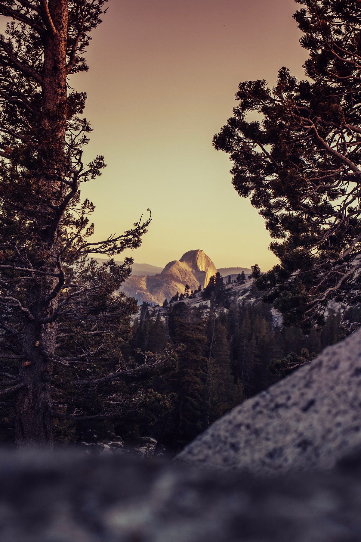 I Shot With Only One Camera Body and One Lens for 2 Years. Here are 5 ...