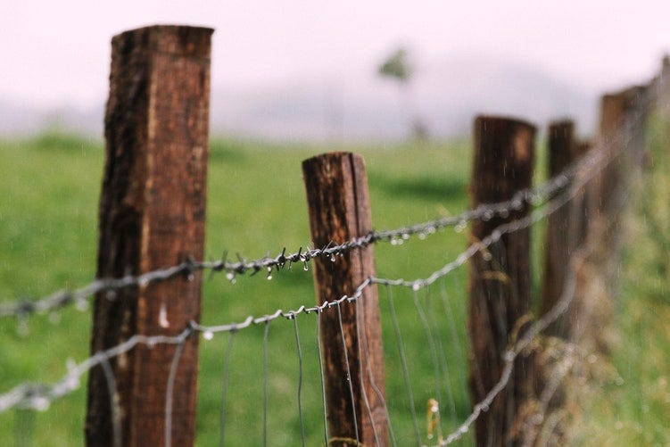 Small and Marginal Land Holdings — Farmer Challenges | by Bharath Varma ...