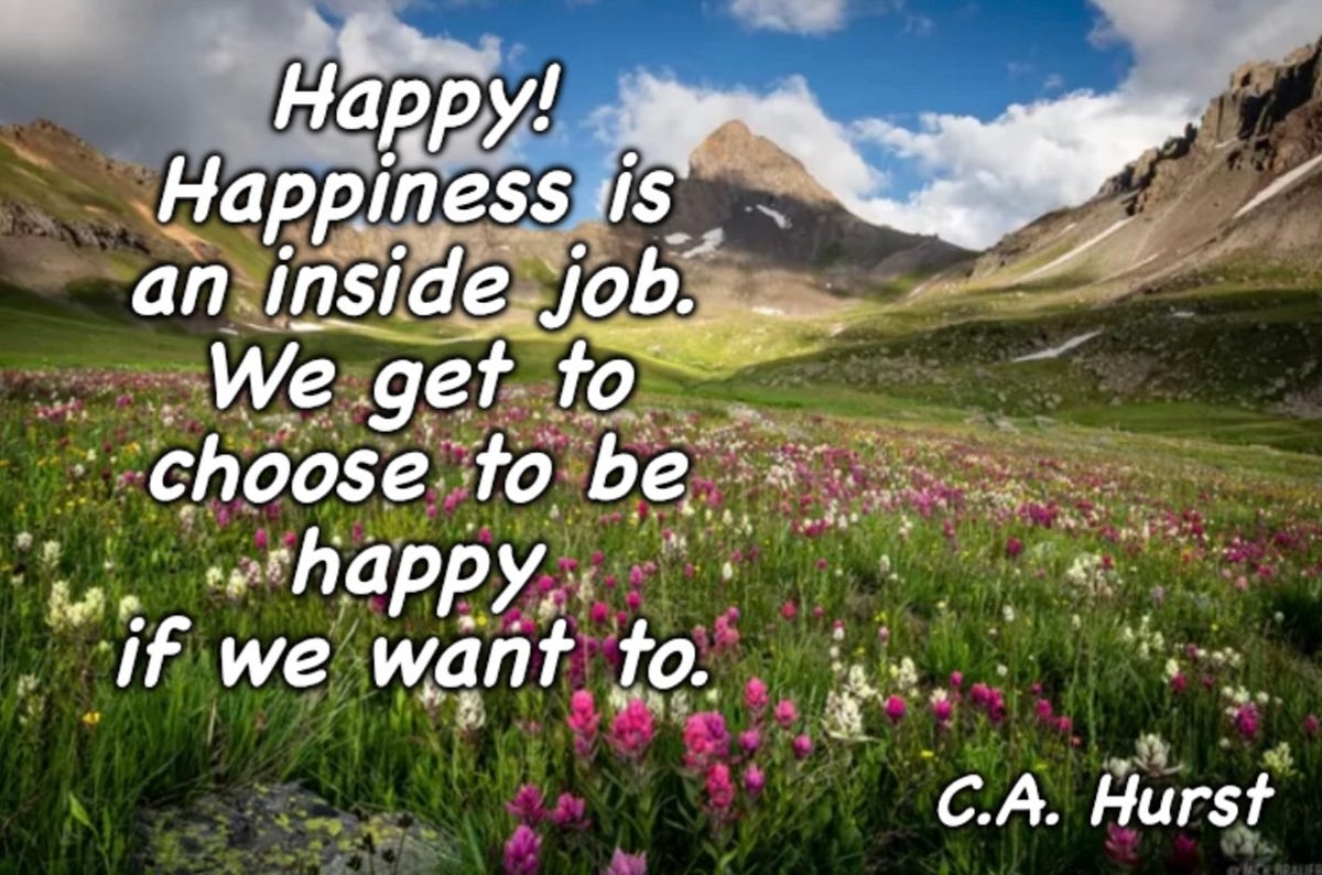 Happy! - C. A. Hurst - Medium