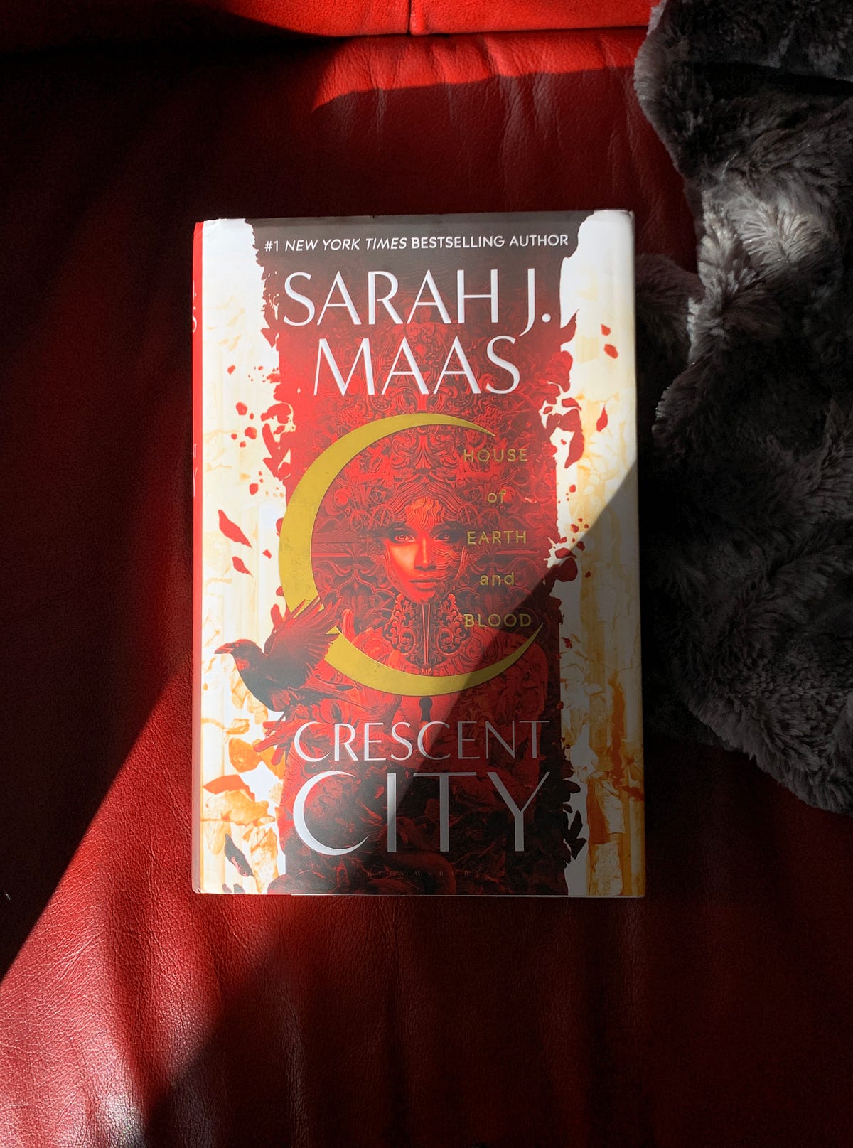 This New Fantasy Novel Is For Readers Who Love The Genre | by Angela ...