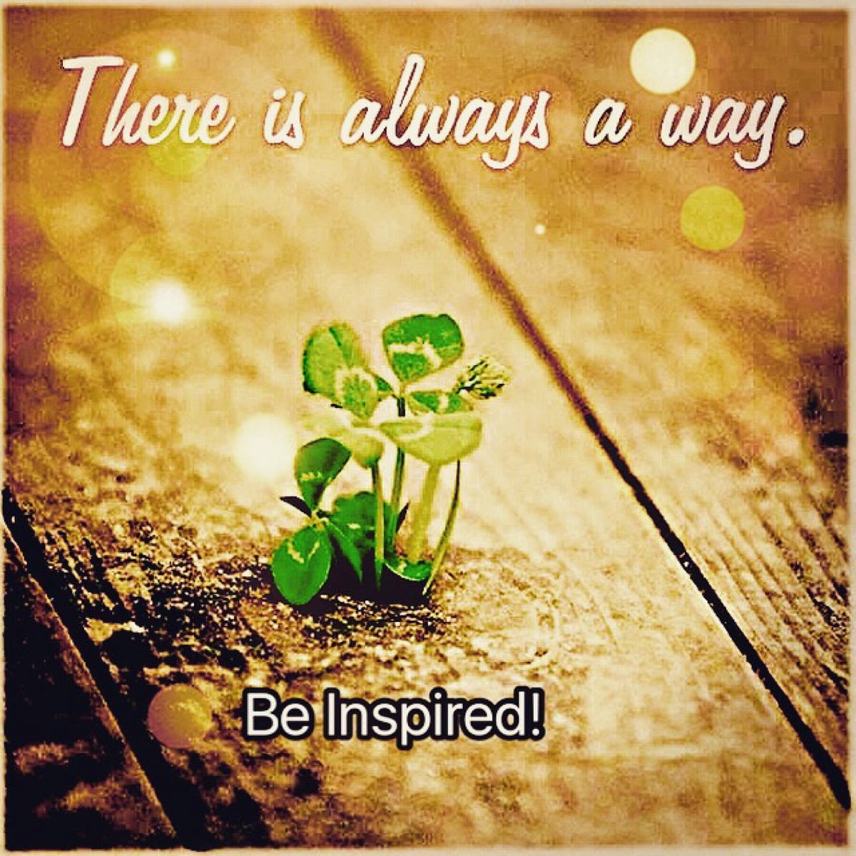 Be Inspired! | by Sheryl L. Kovach | Medium