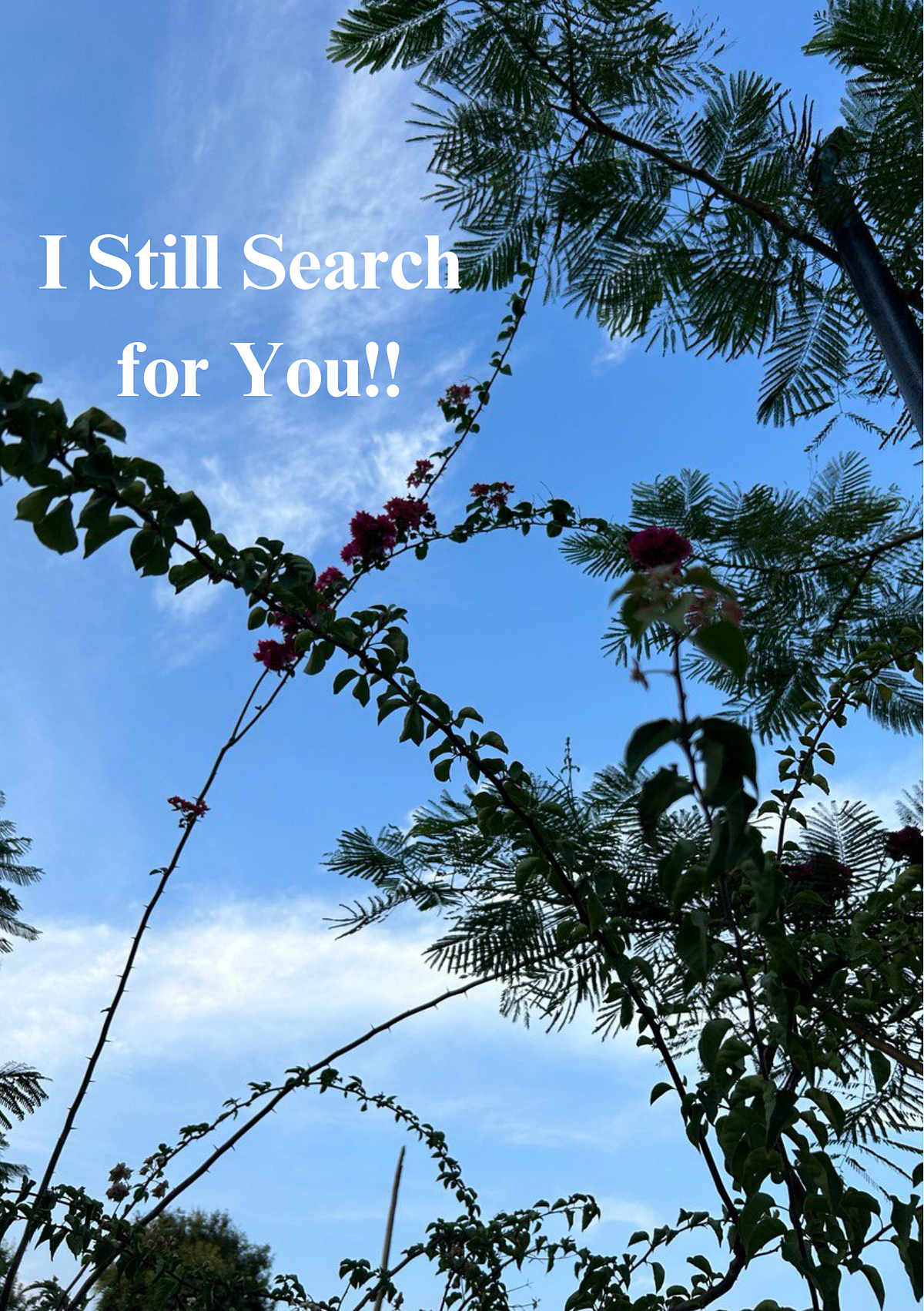 I still search for You!!. I catch my breath & close my eyes… | by ...