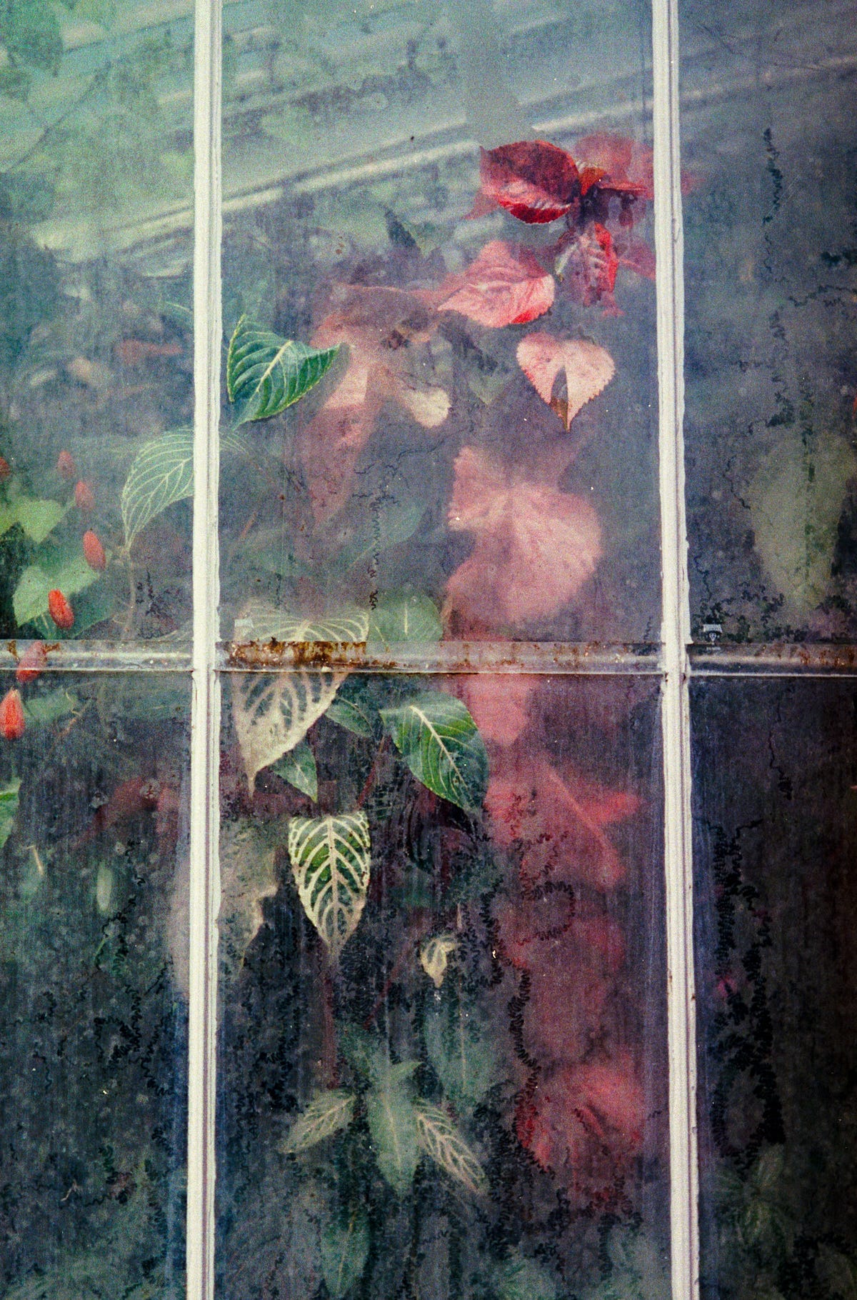 The Today Poem. A poem about yesterday and today | by Priyanka ...