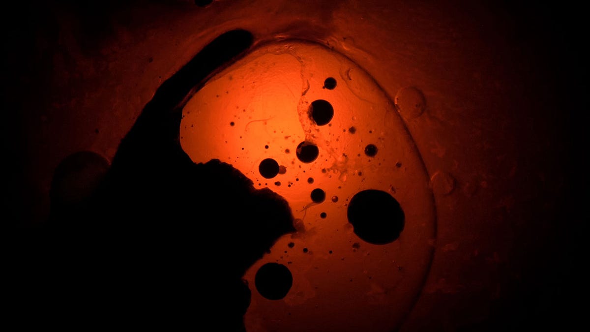 Visual Speculations And The Cyclic Path | by Labocine | Journal of Labocine | Medium