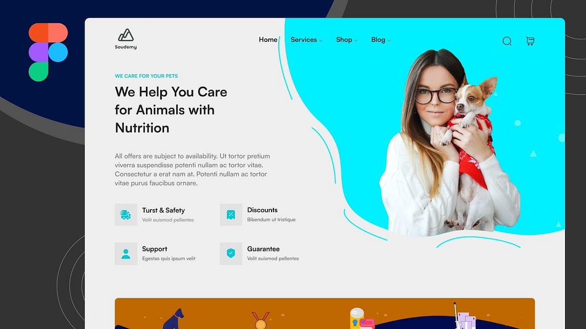 How To Make a Pet Care Service Website Using Figma for Beginners Step ...