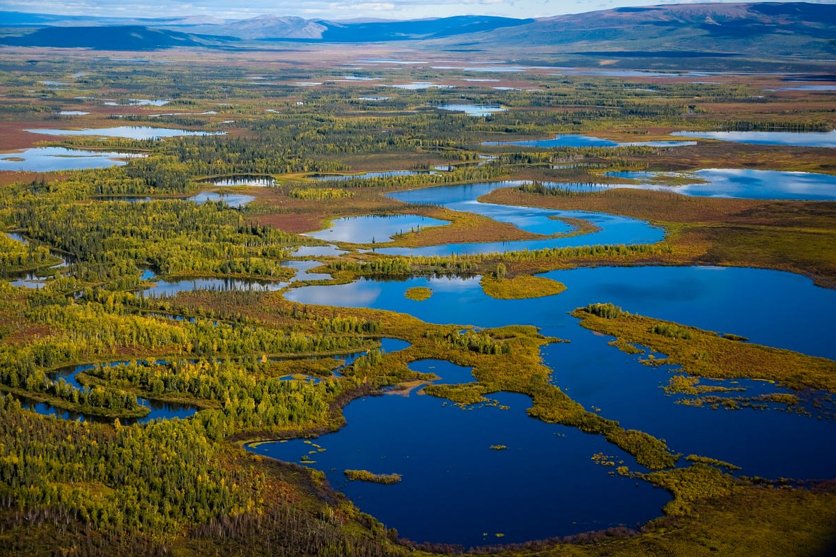 Wetlands of Alaska’s Kanuti Refuge | by U.S.Fish&Wildlife Alaska | Medium