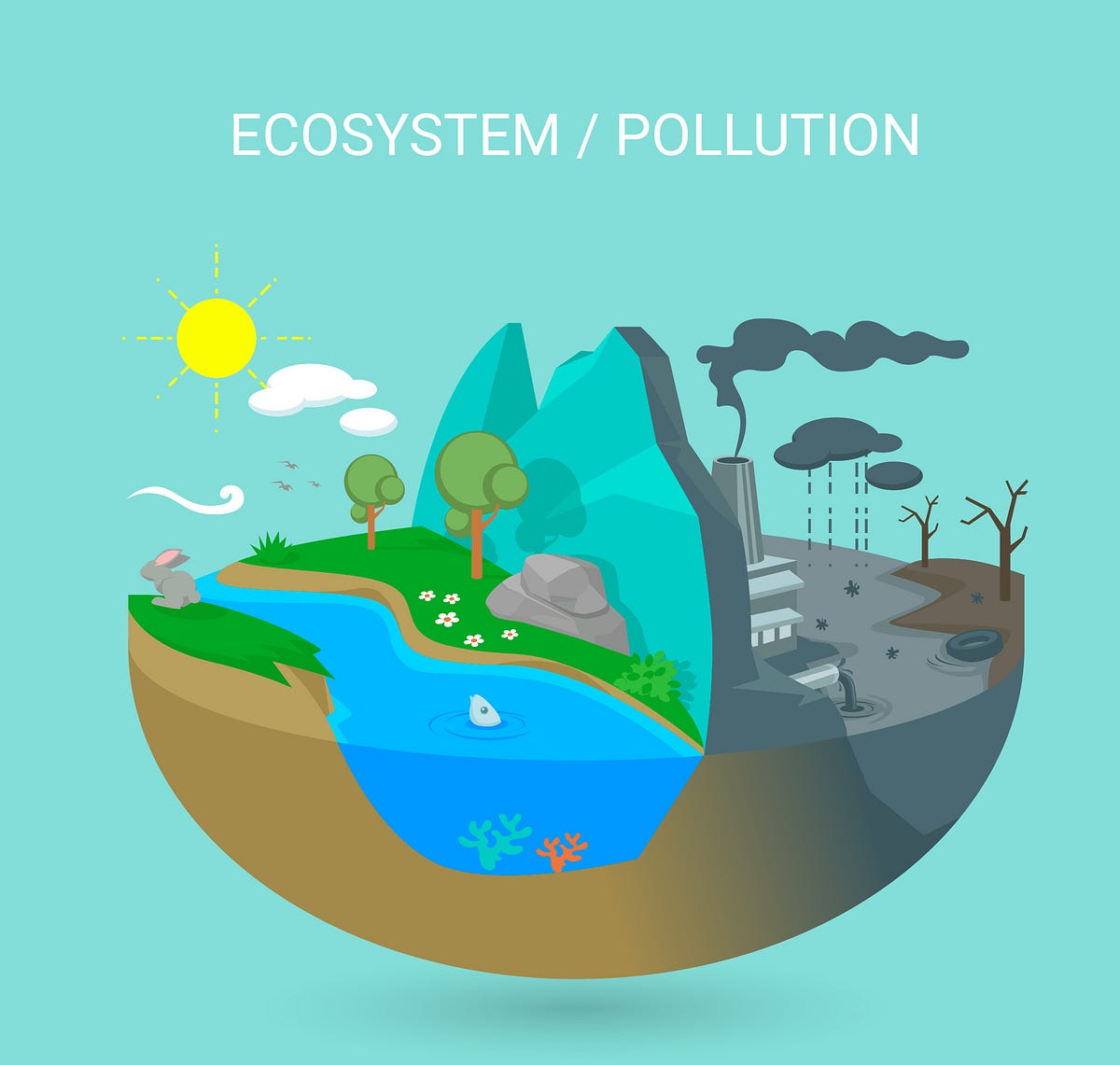 Environmental Emergency: Pollution and Water Oneness Consciousness | by ...