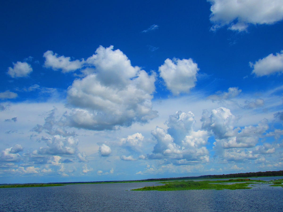 The Moods of Clouds. A weather story | by Dennett | Weather Watchers ...