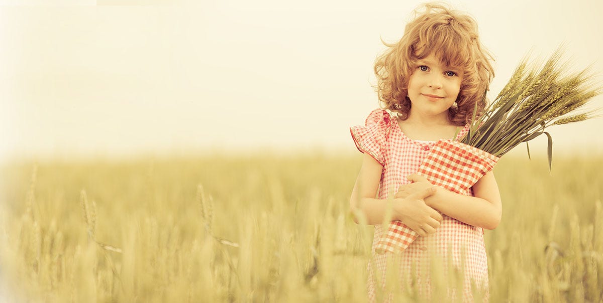 The New Glyphosate Study: Not Happy Or Healthy | by Jan Wellmann ...