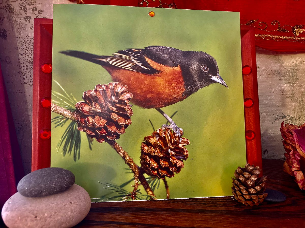 Put A Bird On It: Focusing On Aspirations & Letting Sufferings Rest ...